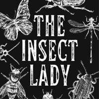 The Insect Lady – Ethically Sourced Insect Art & Displays Handcrafted ...