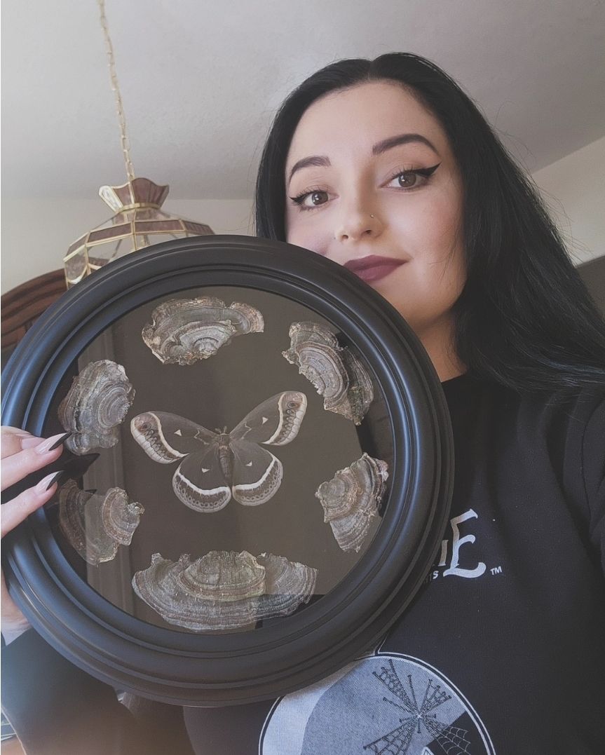 About – The Insect Lady